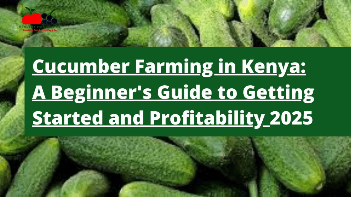 Cucumber Farming in Kenya: A Beginner's Guide to Getting Started, Profitability, and Sustainable ...